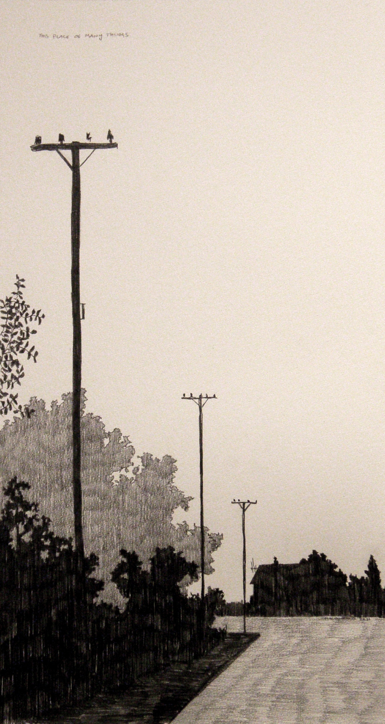 line dancing - Rayner Bros Gallery - Catherine Macdonald