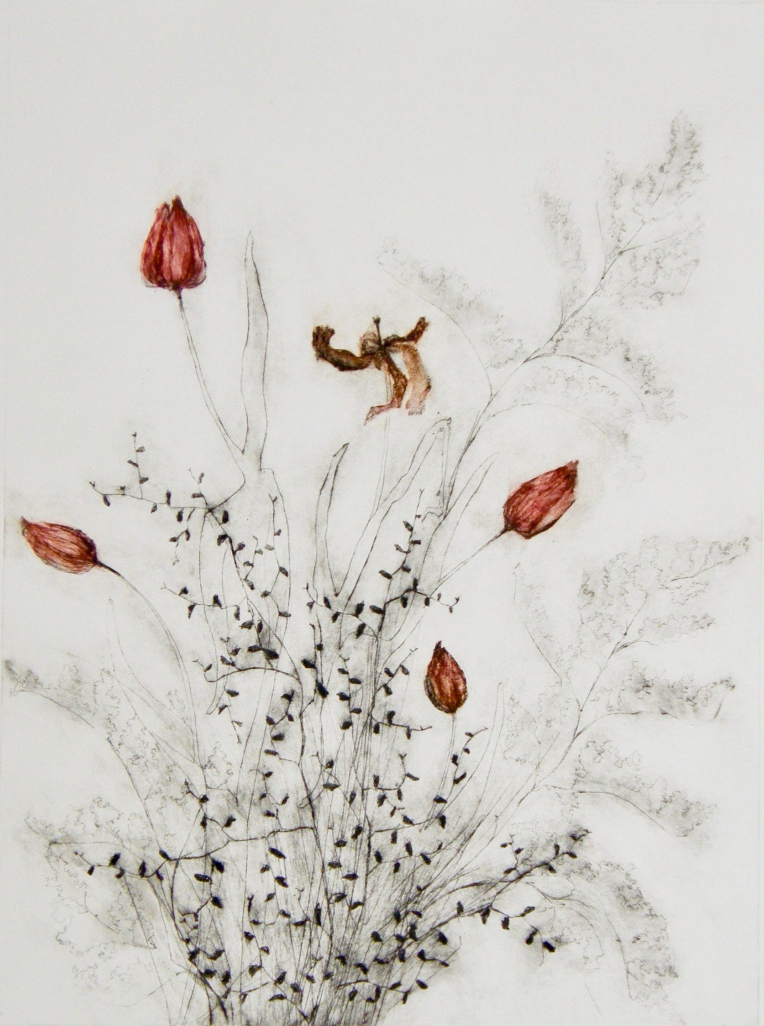 the latest thing - Catherine Macdonald